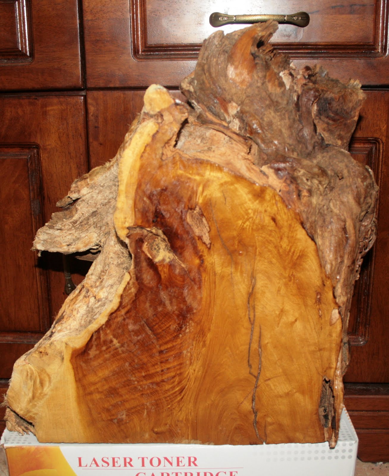 CIKGU NASIR: Indahnya seketul kayu reput ( kemuning emas )