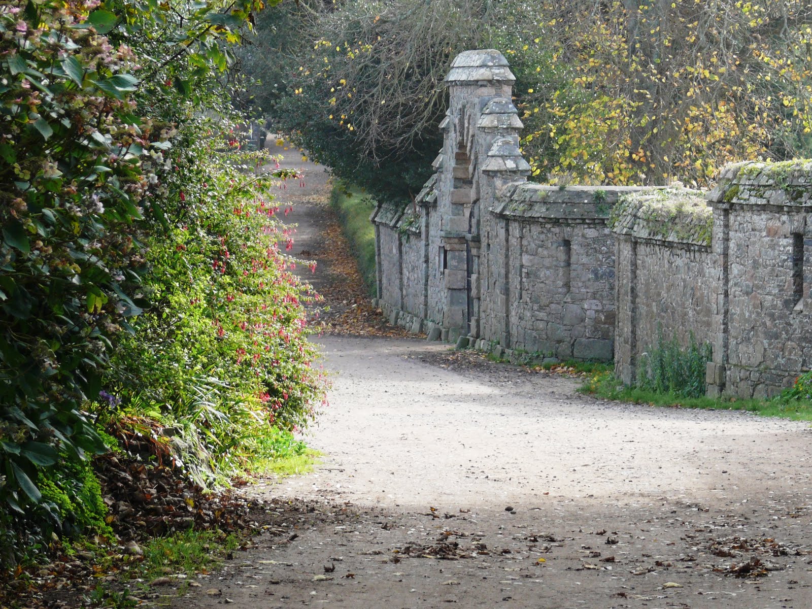 Water Under the Bridges: Scenes from Sark