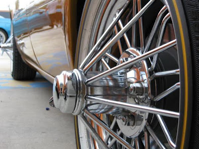 Texas Born & Texas Raised