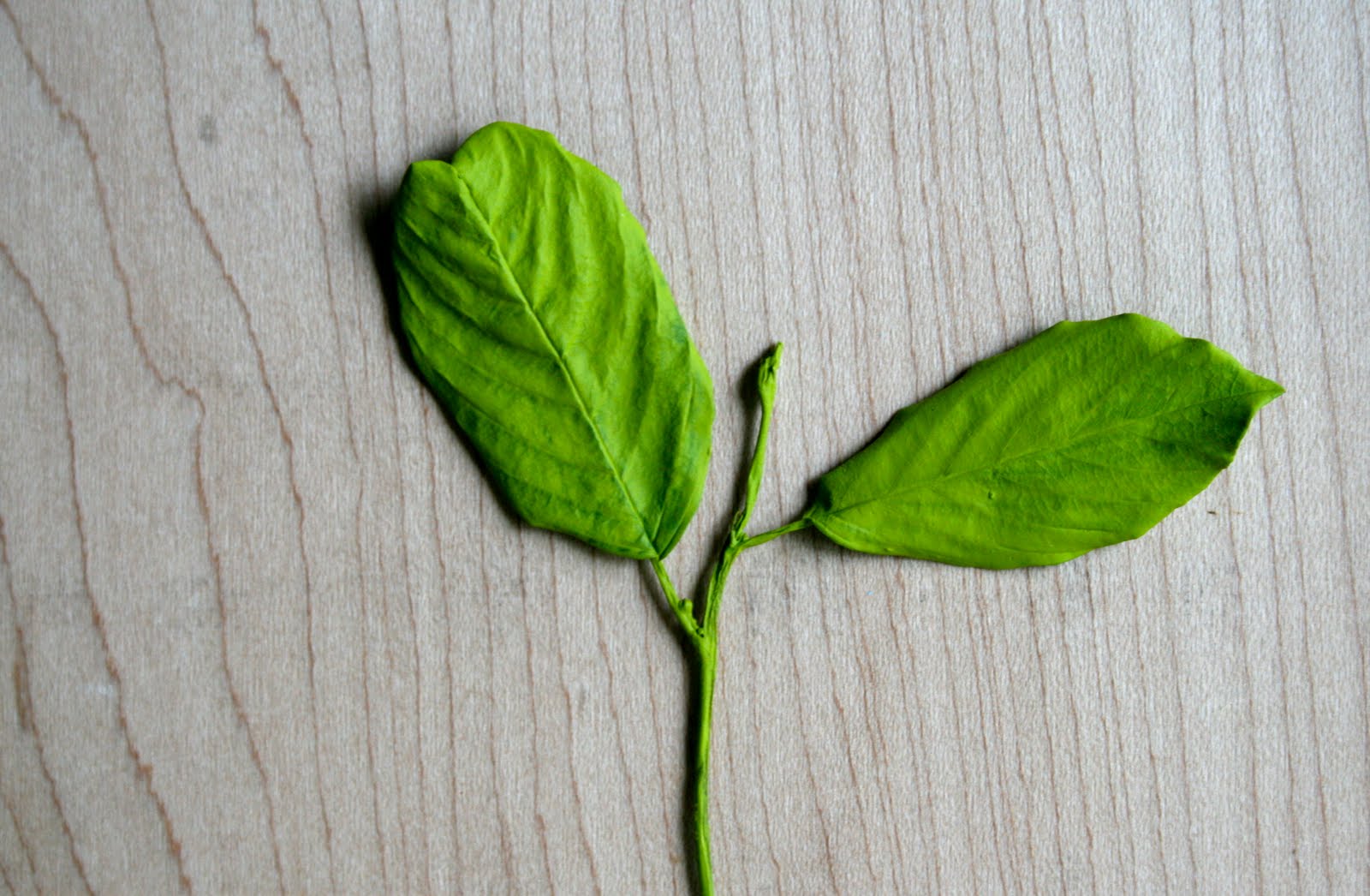 red bird crafts: painted leaves