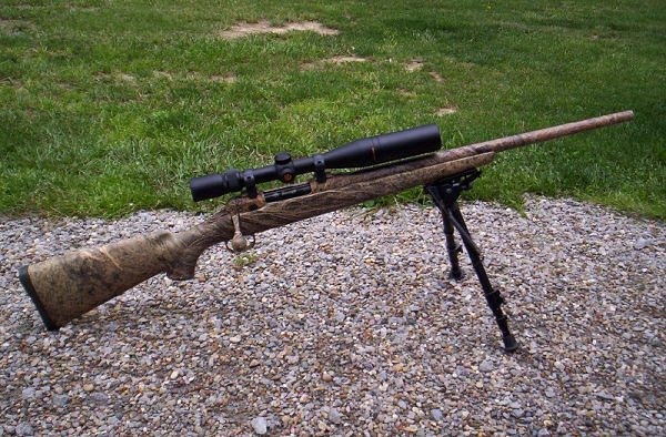 latest guns for hire: Savage Predator .243/ Hunter's Gun