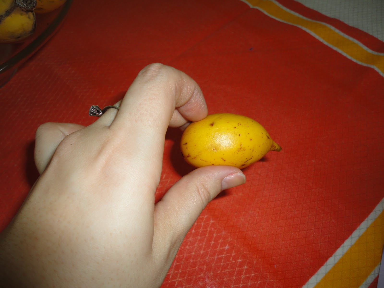 Vovó que ensinou ...: Você conhece essa fruta?