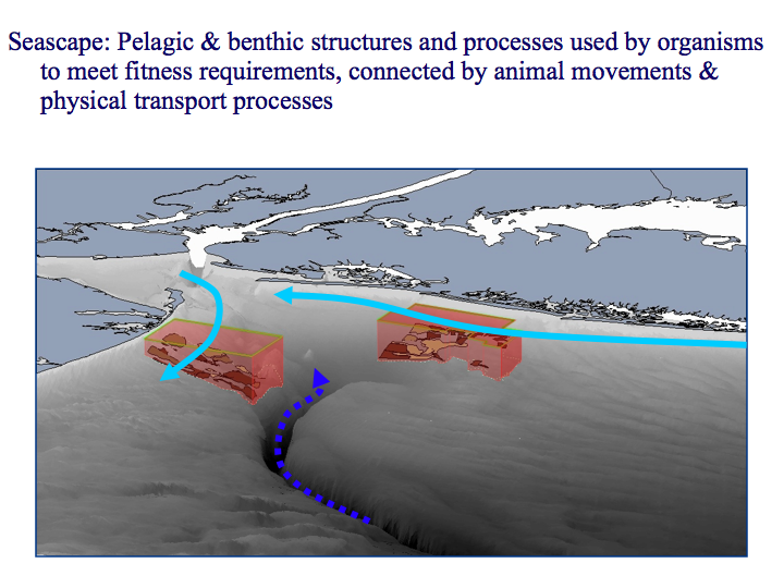 Ecology of Coastal Ocean Seascapes: What is a seascape & why make this ...