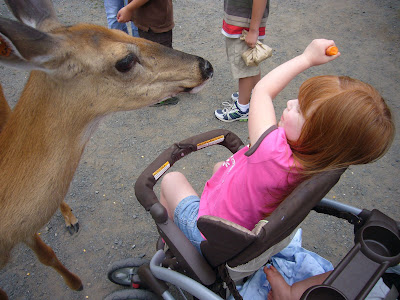 The Bignell Family: Fawn-Doe-Rosa