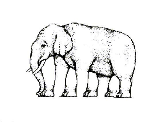 Matemáticas Bachillerato : Figuras imposibles