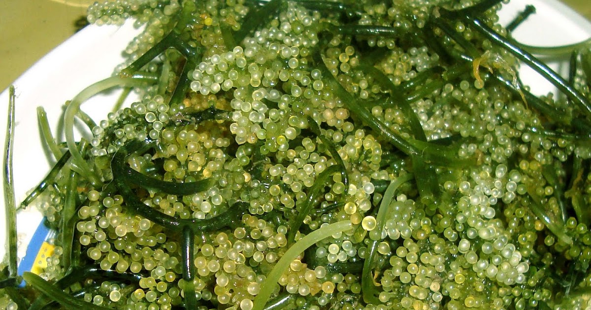 Living with Nature - School on Blog by Dr. Abercio V. Rotor ...