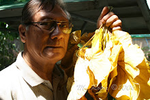 Living with Nature - School on Blog by Dr. Abercio V. Rotor