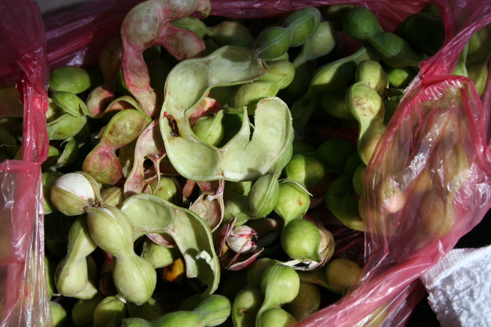 Living with Nature - School on Blog by Dr. Abercio V. Rotor: Monsoon ...