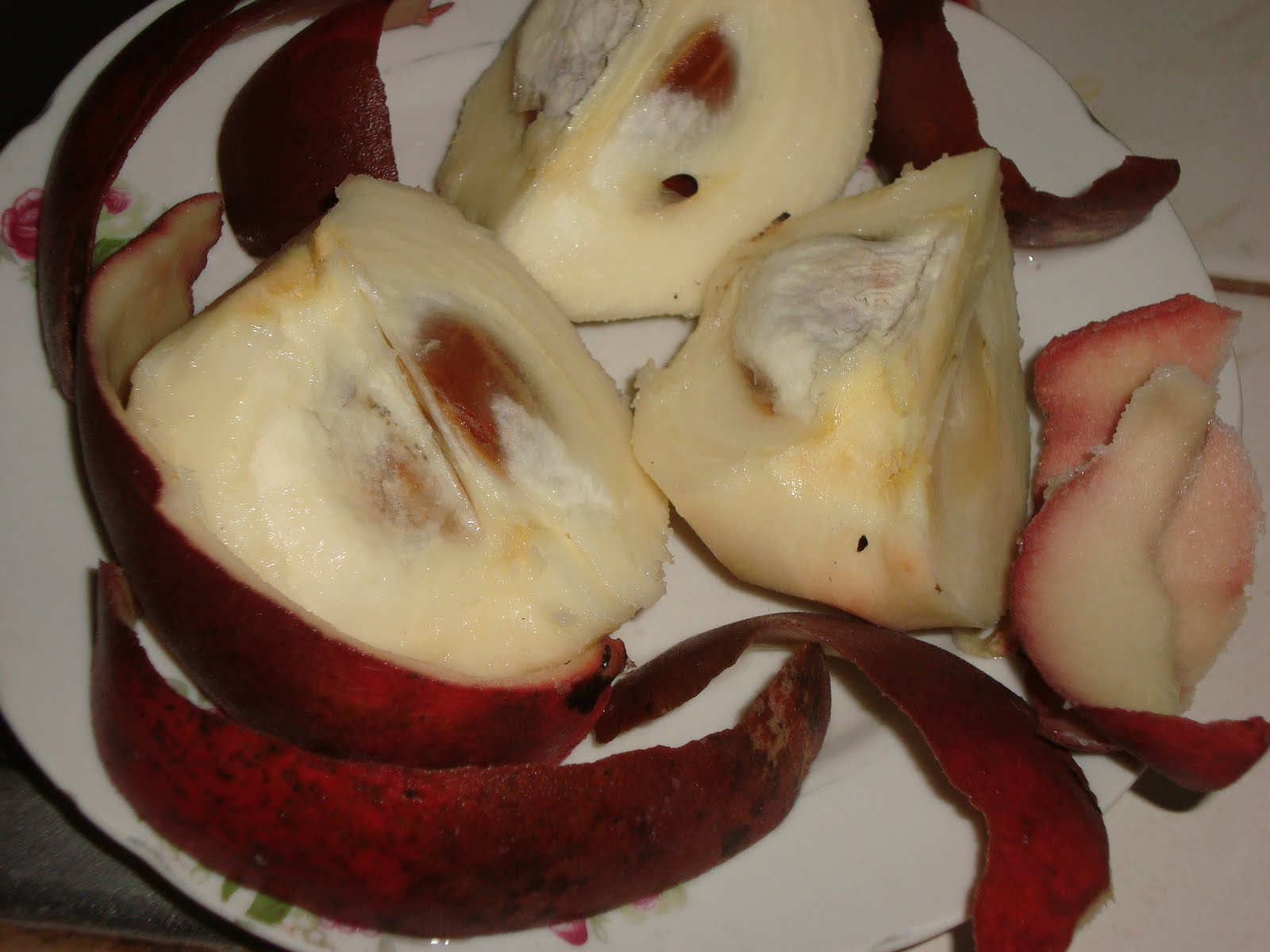 Living with Nature - School on Blog by Dr. Abercio V. Rotor: Unusual ...