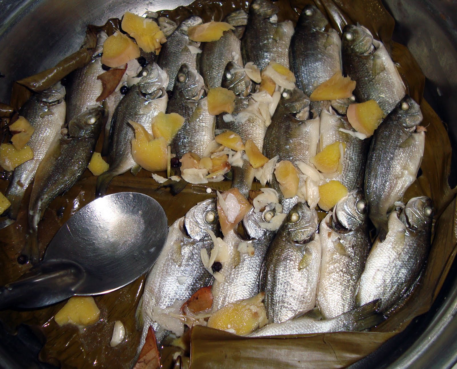 Living with Nature - School on Blog by Dr. Abercio V. Rotor: Part 2 ...