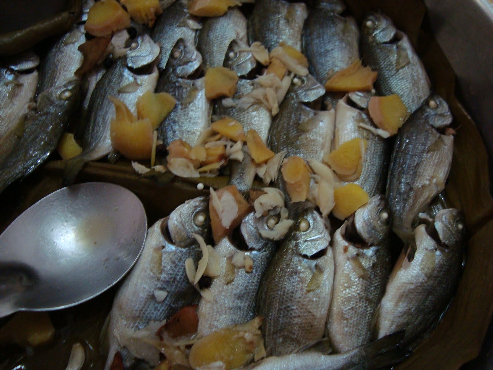 Living with Nature - School on Blog by Dr. Abercio V. Rotor: Ayungin ...