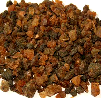 Health Information Tips: Myrrh (Commiphora myrrha)-Healing with Herbs