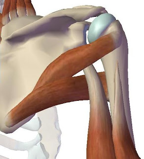 Pensando en Medicina