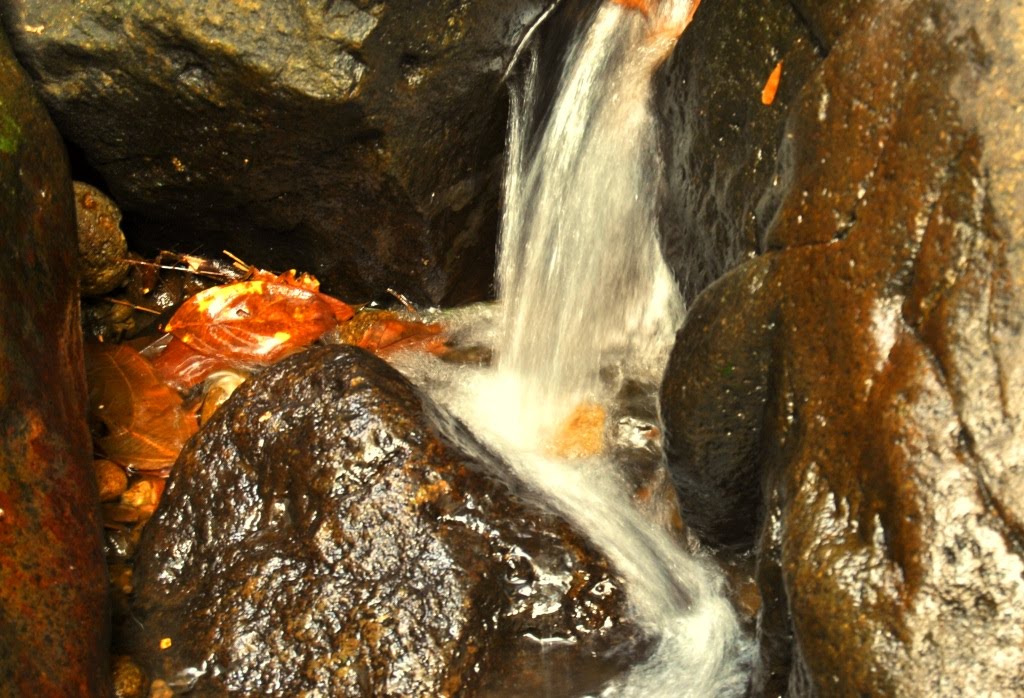 THE WORLD ACCORDING TO MY LENS: FLAT ROCKS Mt Makiling( Series 1 )