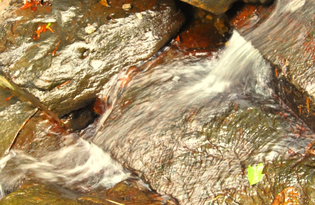 THE WORLD ACCORDING TO MY LENS: FLAT ROCKS Mt Makiling( Series 1 )