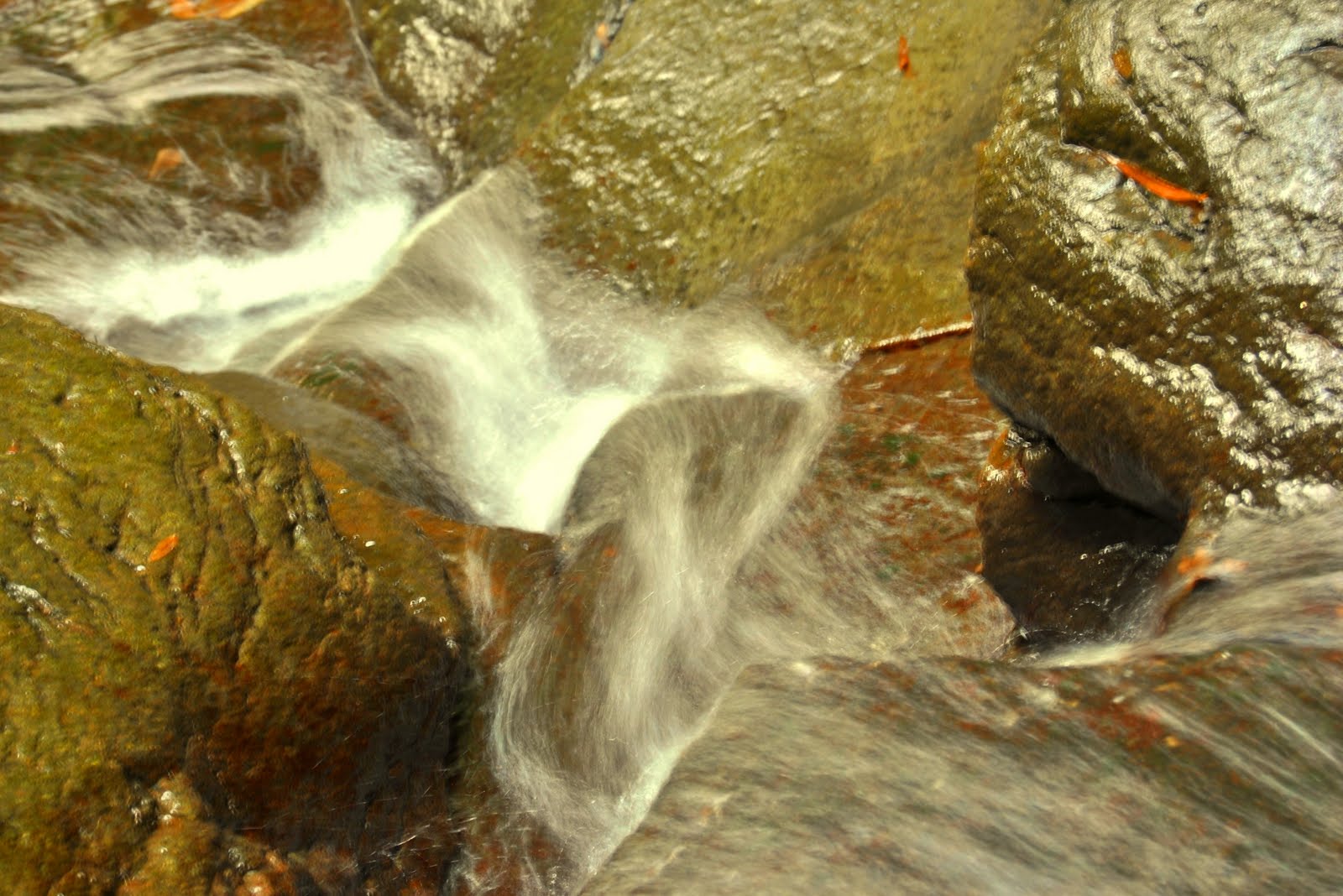 THE WORLD ACCORDING TO MY LENS: FLAT ROCKS Mt Makiling( Series 1 )