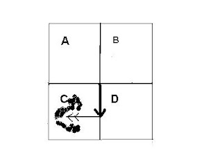 Physiotherapy blog: COMBINED MOVEMENT THEORY