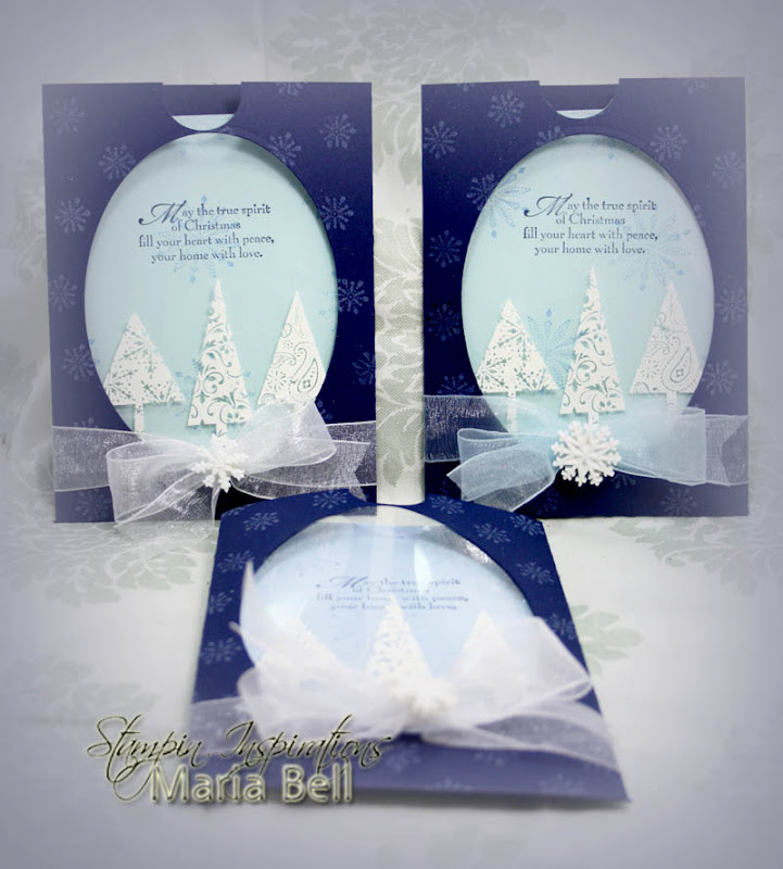 Inspired and Unscripted: Vellum/Acetate Window Pocket with Insert Tutorial