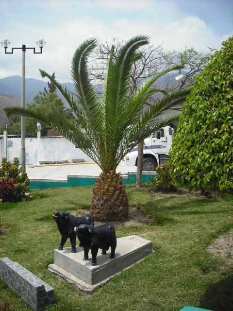 Víctor Hugo Alvítez Moncada "Pisadiablo" Gestión Cultural: Bienvenidos ...