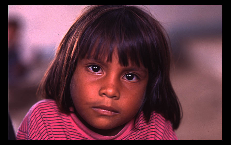 Textos y fotos: PIAPOCO