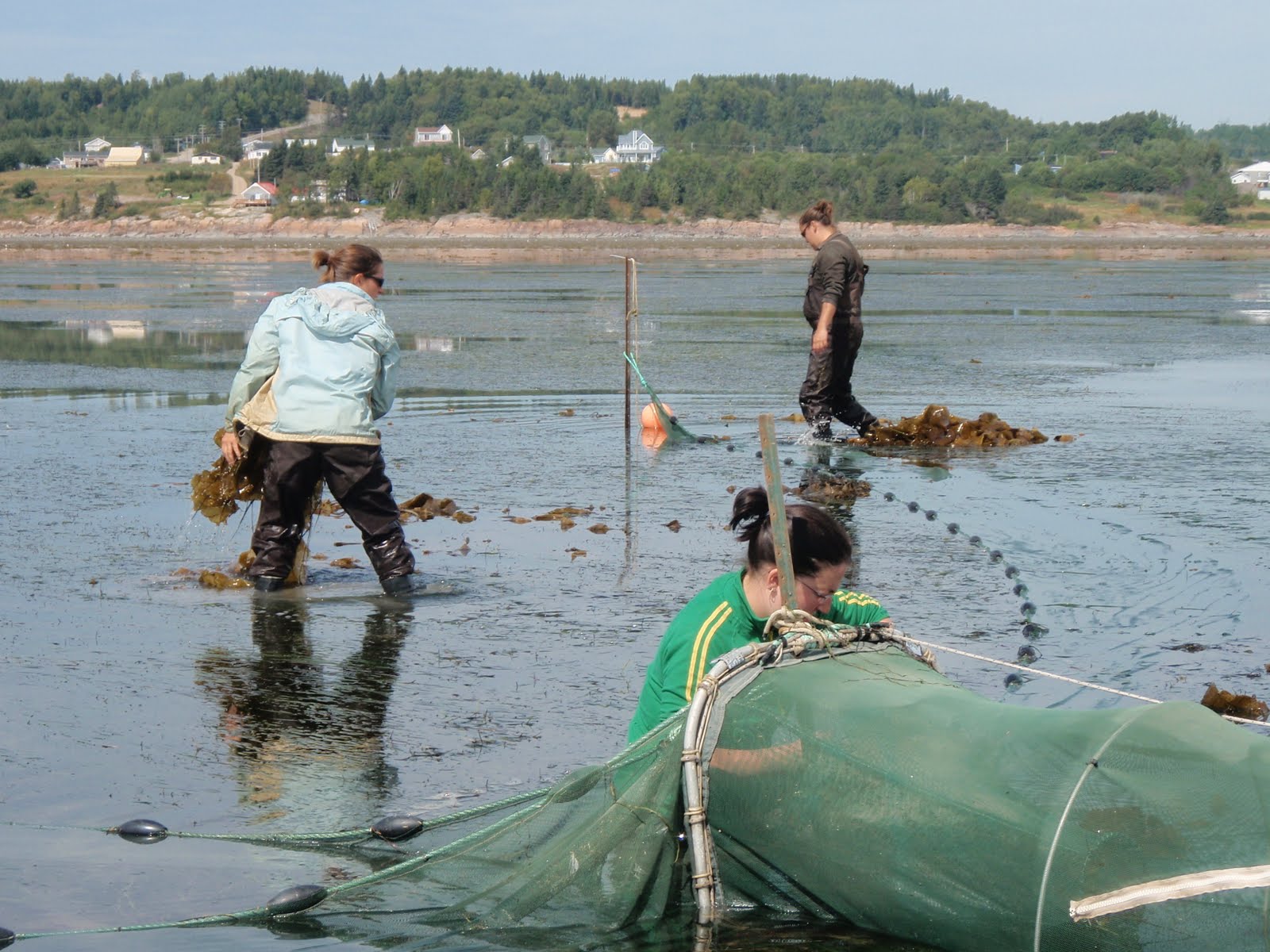 Mon Aventure Septilienne...: Retour sur le terrain : direction les ...