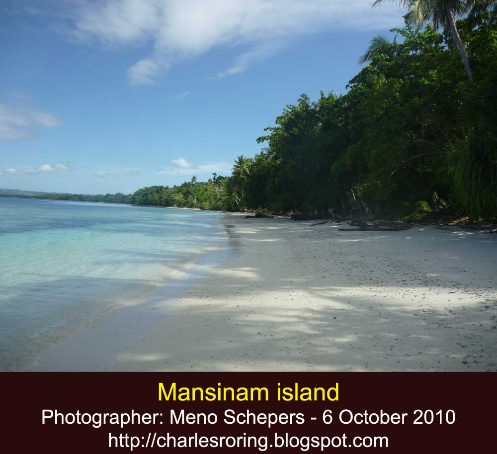 Raja Ampat Club: Underwater photographs of Coral Reef in Mansinam island