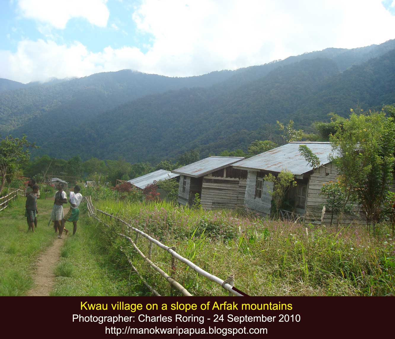 Birdwatching and Wildlife Watching in Indonesia's West Papua: Golden ...