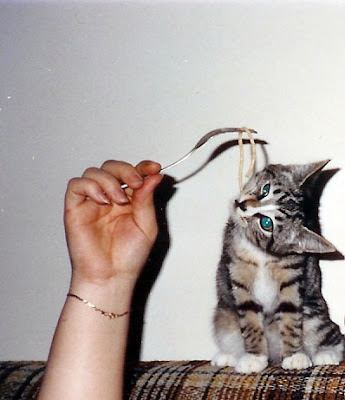 Things That ...: Copy Cats