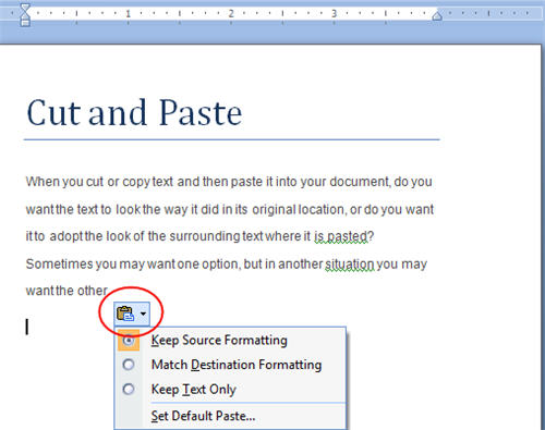 Digital Glossary: paste options
