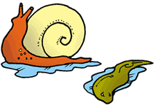 ANIMALES: REPRODUCCION SEXUAL Y ASEXUAL