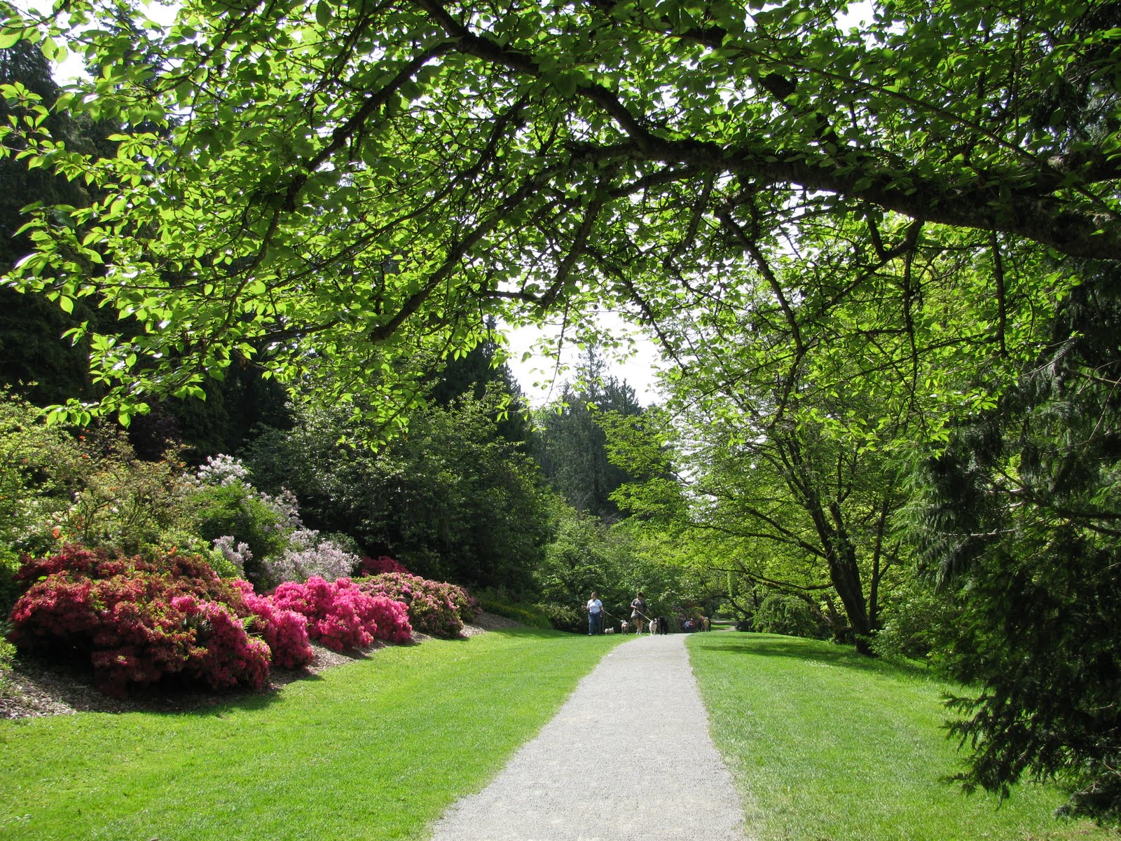 Linda Letters:: Washington Park Arboretum