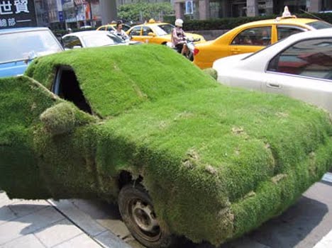 Amazing Pics - Worlds Most Amazing Pictures: Go Green