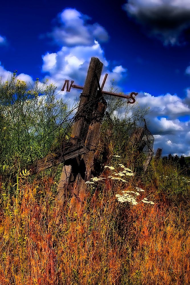 Artistic Renderings By David Patterson: Victor Moore's "Junk Castle"