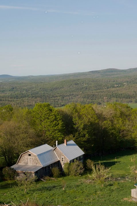 STEWARDS:: Westfield, VT: Jack Lazor, Butterworks Farm