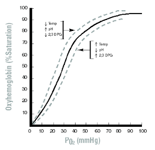 Oxyhemoglobin Dissociation Curve | Bronchial Times