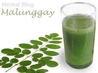 Cocomoringa - Health & Wellness UK: Moringa Names