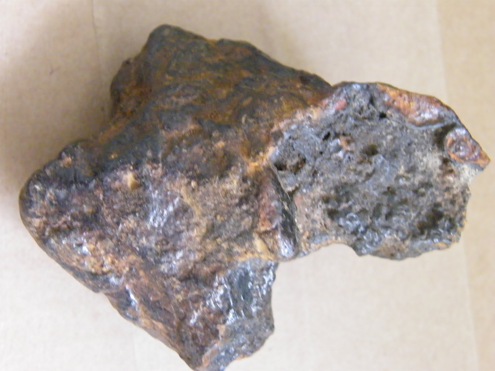 Astronomical Uplands: Space Rocks on Earth (Meteorites)