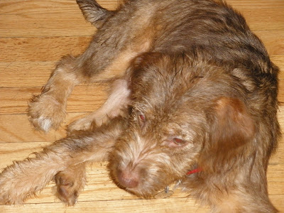 Spasibo Russia: Oops I did it again!