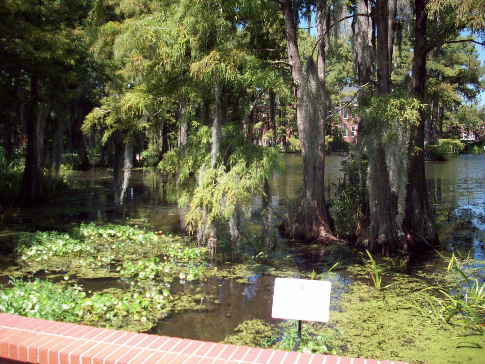 kissingthesky: Last stop University of Louisiana at Lafayette
