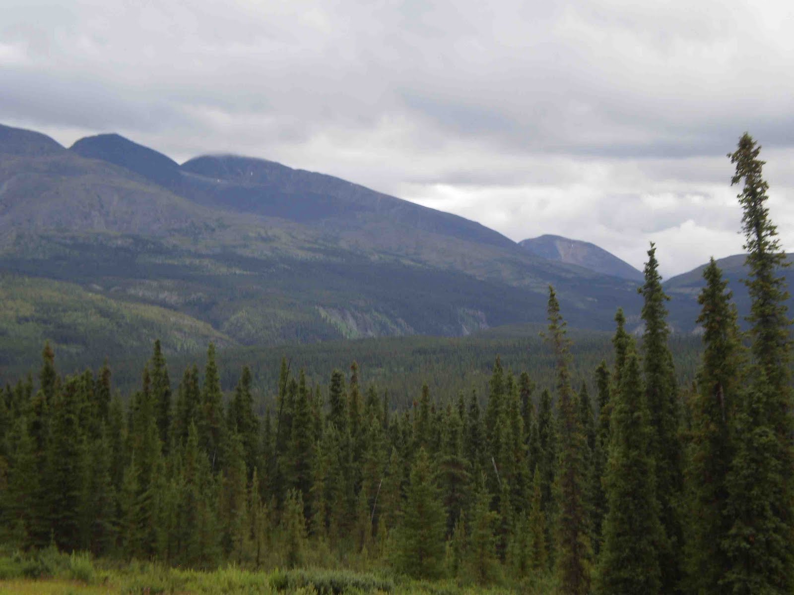 The Life Journey of Bill and Sheila. Tales From The Road of Life ...