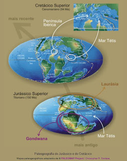 GEO-ELVAS: Fósseis, os Rudistas da Orla Mesocenozóica