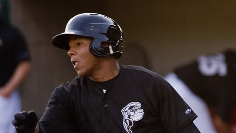 Mack's Mets: PRESS RELEASE: - 2010 Sterling Award Winners