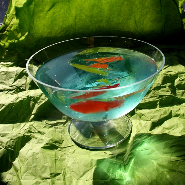 weelife: Fish Bowl Jello