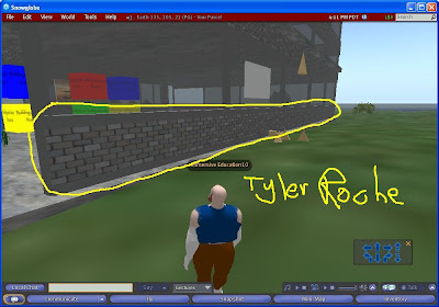TM Roche: Monocular Depth Cue: Texture Density