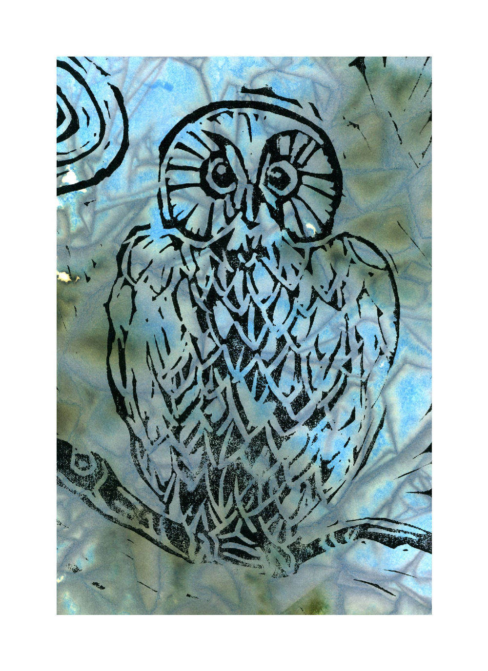 Caroline's Studio: New owl prints and a Giveaway!