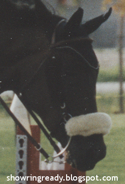 Show Ring Ready: Jumper Tack: Hackamores