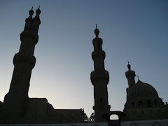 not all who wander are aimless: Budrus
