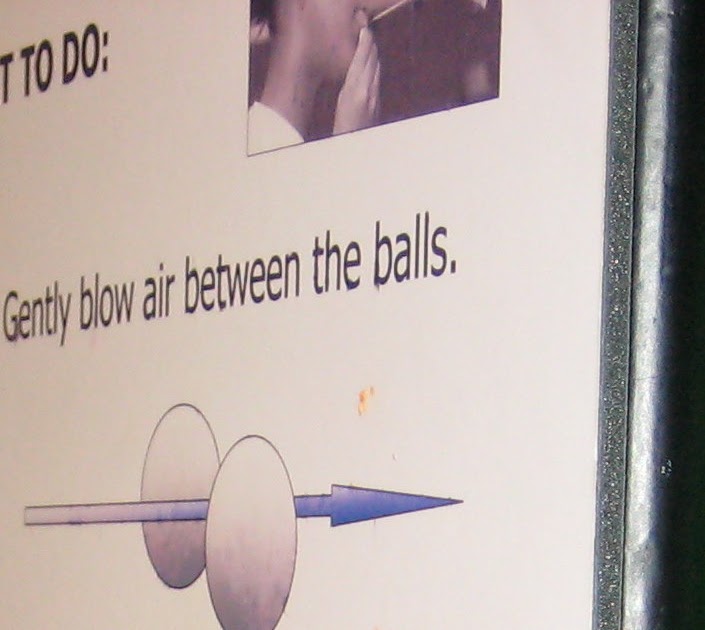 A Day In The Life Of Oh Look Squirrel Gently Blow Between Balls