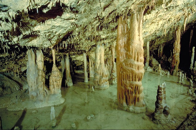 Webb's Blog: Research of real life caves, mushroom forests and cavern ...