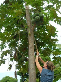 Une blogue-trotteuse en Zambie